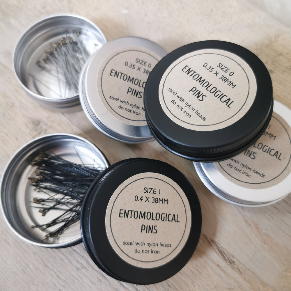 Entomological Pins UK | Insect Pins For Crafts & Display | Beyond Measure