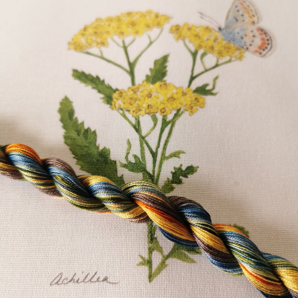 Paint Box Threads Twists for Dee Hardwicke designs – Beyond Measure